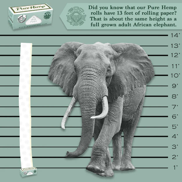 Pure Hemp CLASSIC Rolls – Valiant Distribution